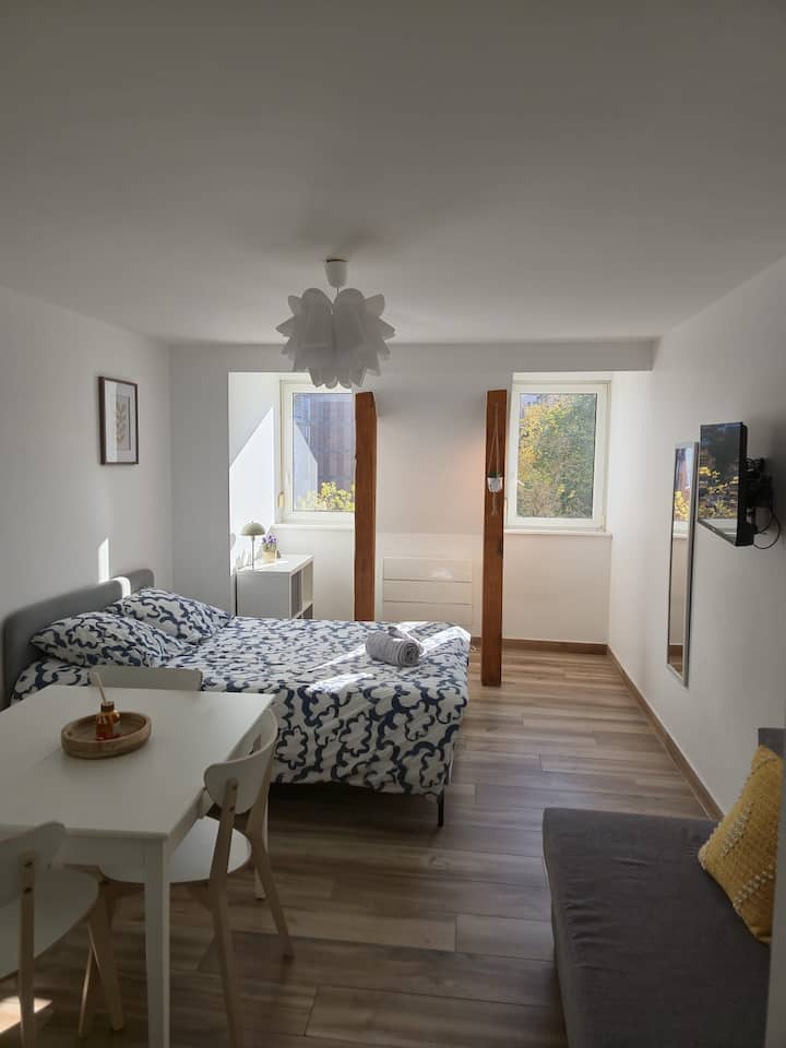 Charmant T1 Tout Confort - Paisible Et Central - Strazburg