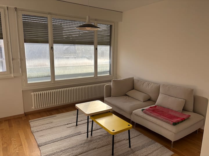 Appartement Pour 2 (+ 1 Bébé) à 2 Pas Du Lac - Geneva