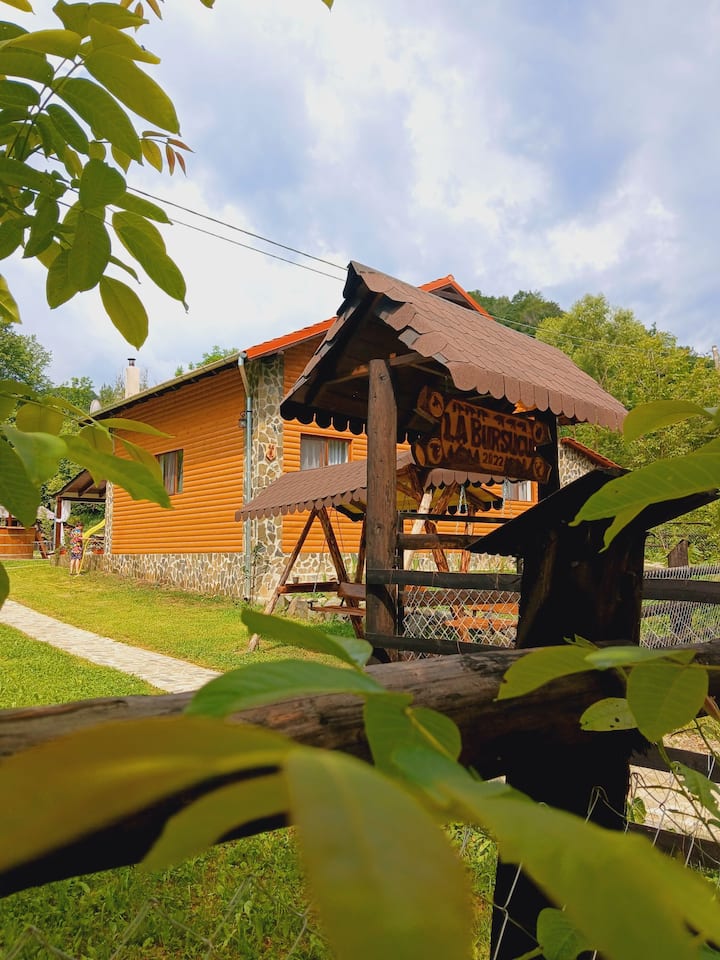 Casa La Bursucu - Zlatna