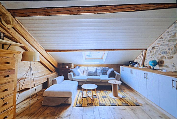 * 𝓛𝓪 𝓜𝓪𝓲𝓼𝓸𝓷 𝓭’𝓐𝓻𝓶𝓸𝔂 * Maison Entière - Évian-les-Bains