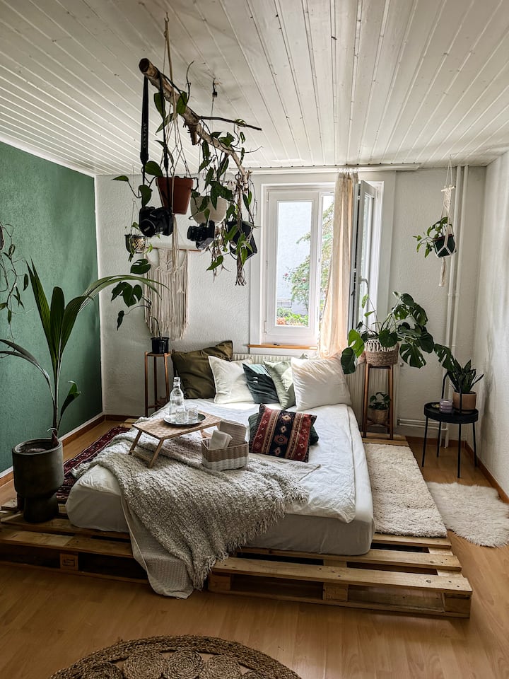 Cozy Boho Home - Gesamte Unterkunft - Schaffhausen