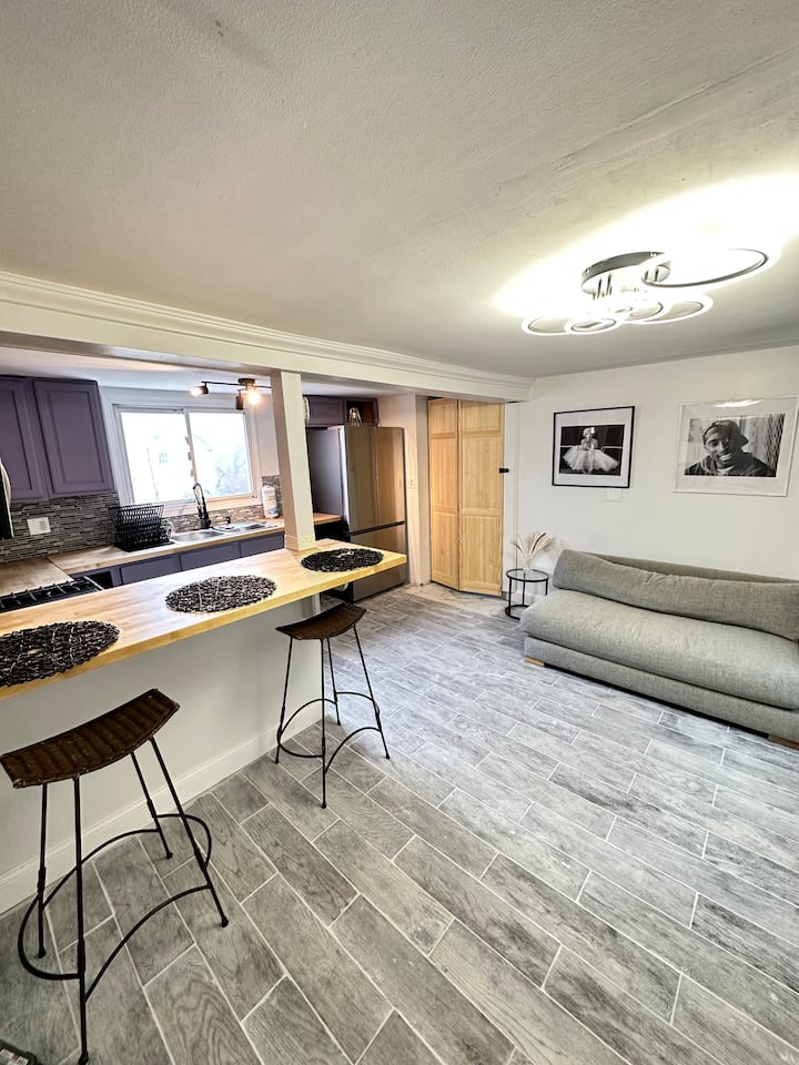 Cozy Stylish Modernized Apt - New Haven