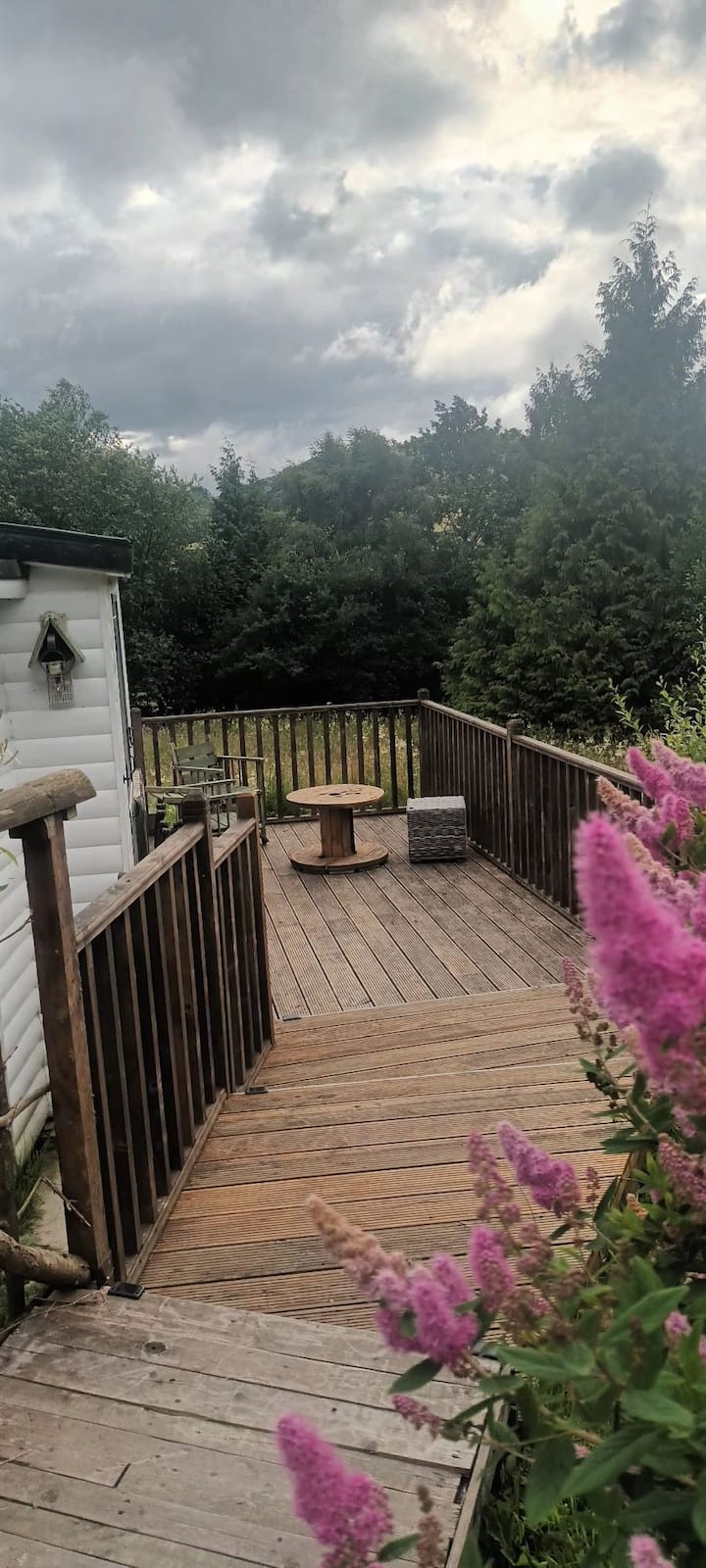 Cariad Bach Shepherds Hut & Grill Hut - Builth Wells