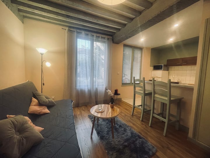 Appartement Au Cœur Du Centre Historique - Chaumont