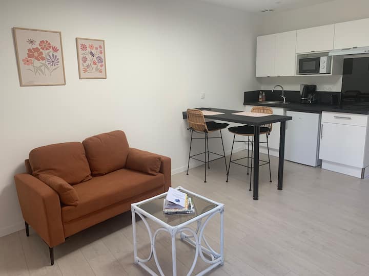 Appartement Climatisé Proche Du Puy Du Fou - Les Herbiers