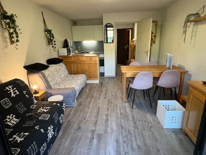 Appartement Au Pied Des Pistes - Saint-François-Longchamp
