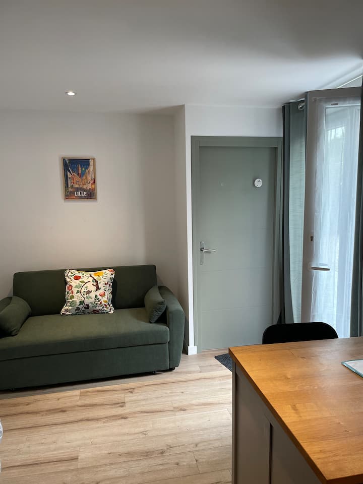 Appartement Cosy-grand Stade Villeneuve D'ascq - Lezennes