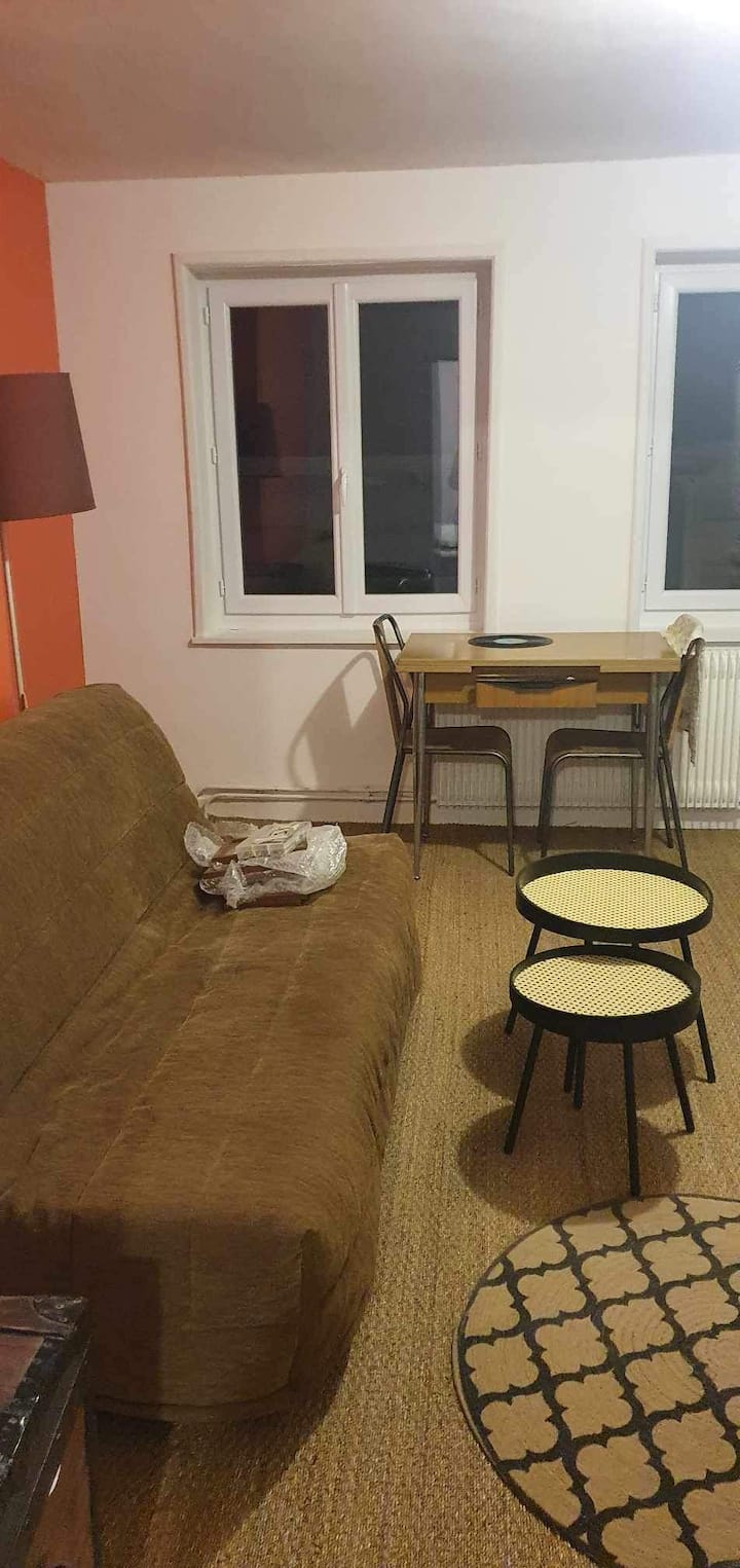 Appartement 2 Pièces- Lille Gambetta - Lila