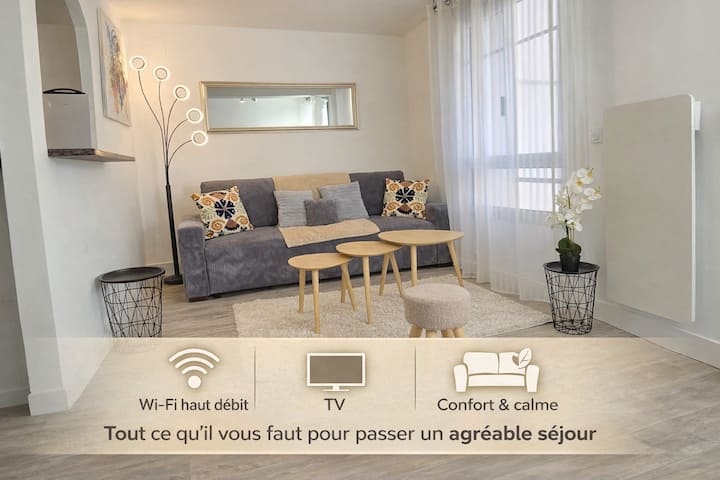 T2 Du Sanctuaire 400m à Pied Du Sanctuaire /Wifi - Lourdes