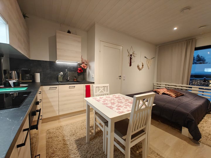 Viihtyisä Vierastalo - Rovaniemi