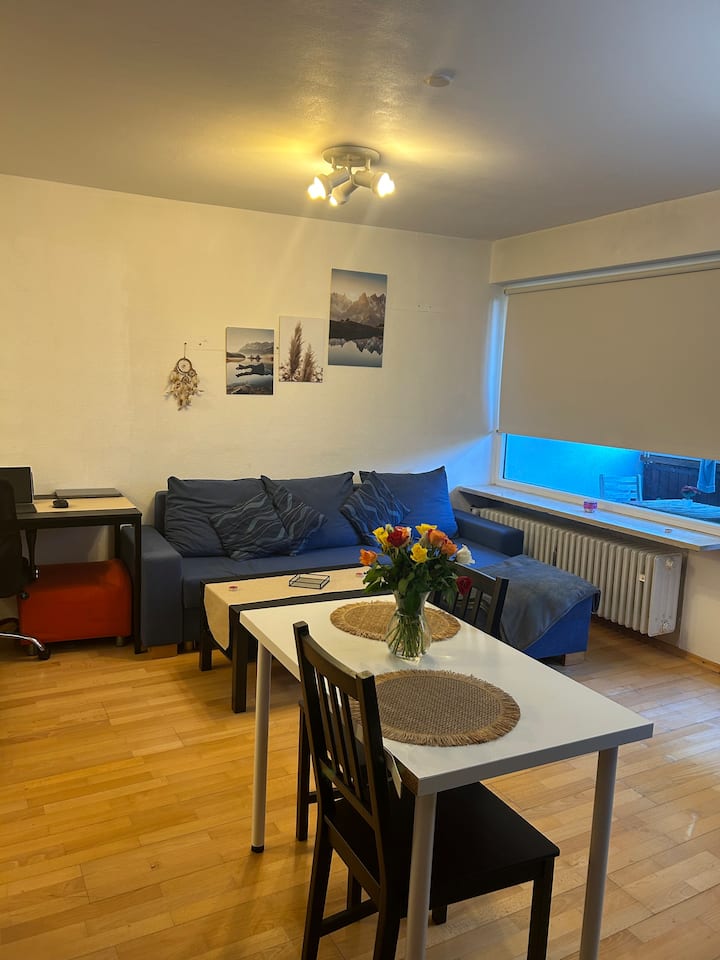 Appartement In Munich - Munich