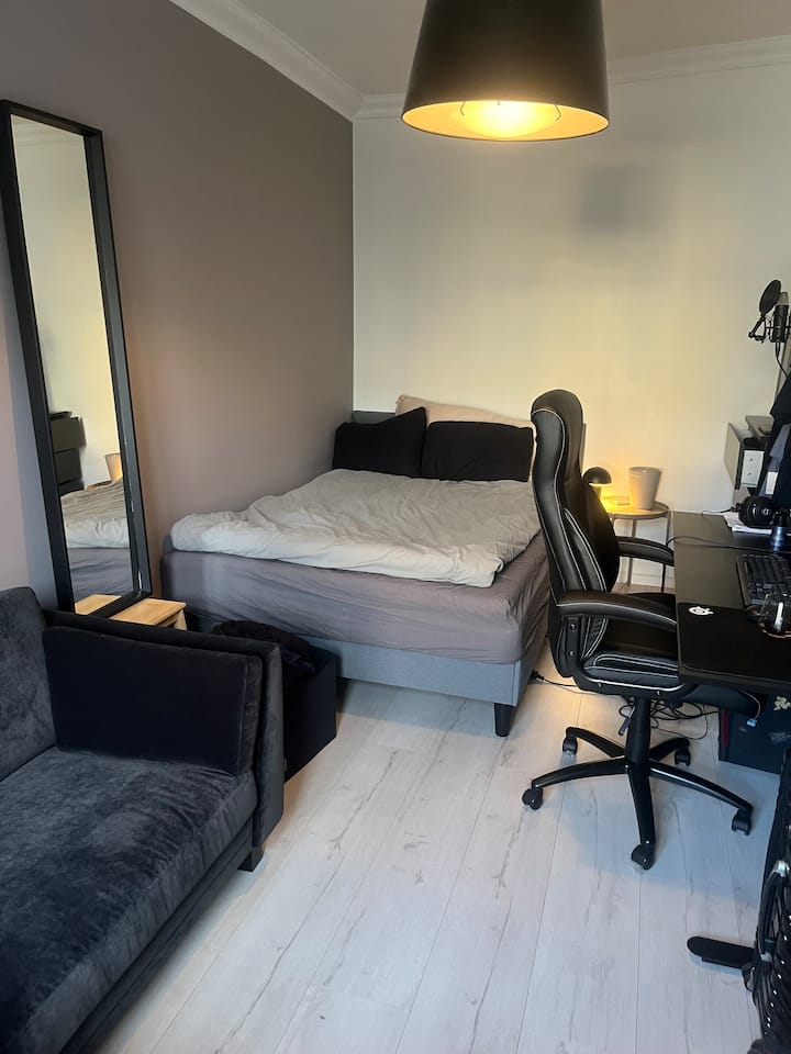 2 Rom I Sentral Leilighet - オスロ
