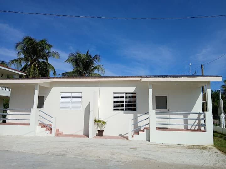 Keel-billed Toucan Suite - Belize