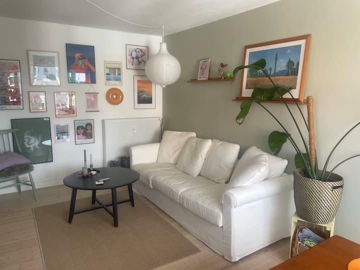 Lejlighed I Hjertet Af Odense - Odense