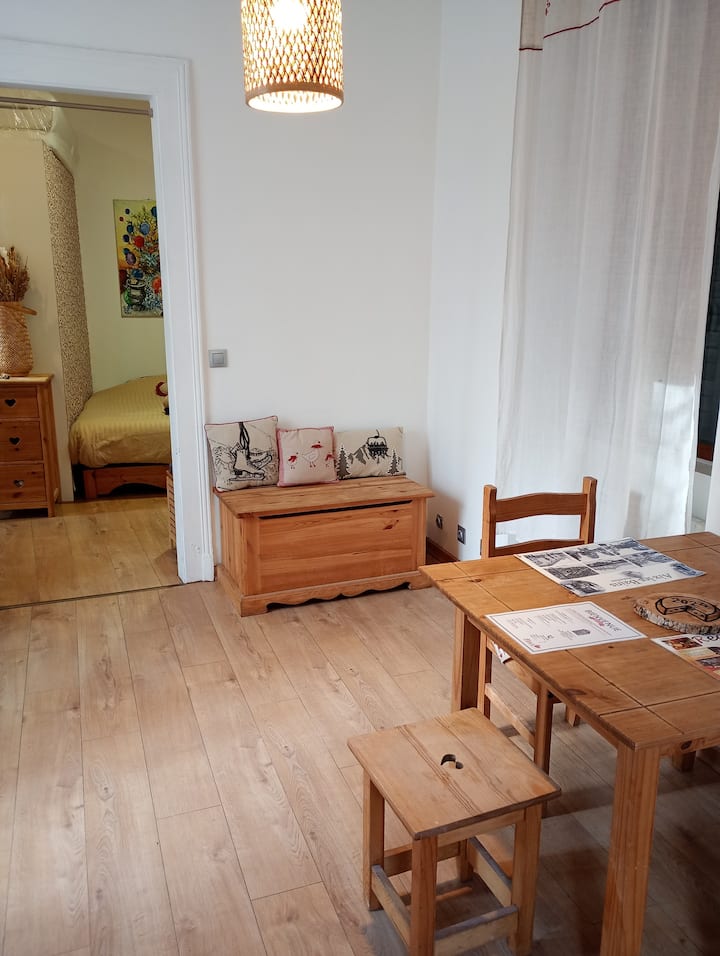 Appartement à 50m Des Thermes - Aix-les-Bains