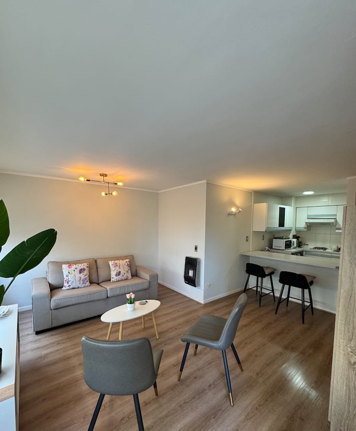 Apartamento Providencia - Providencia