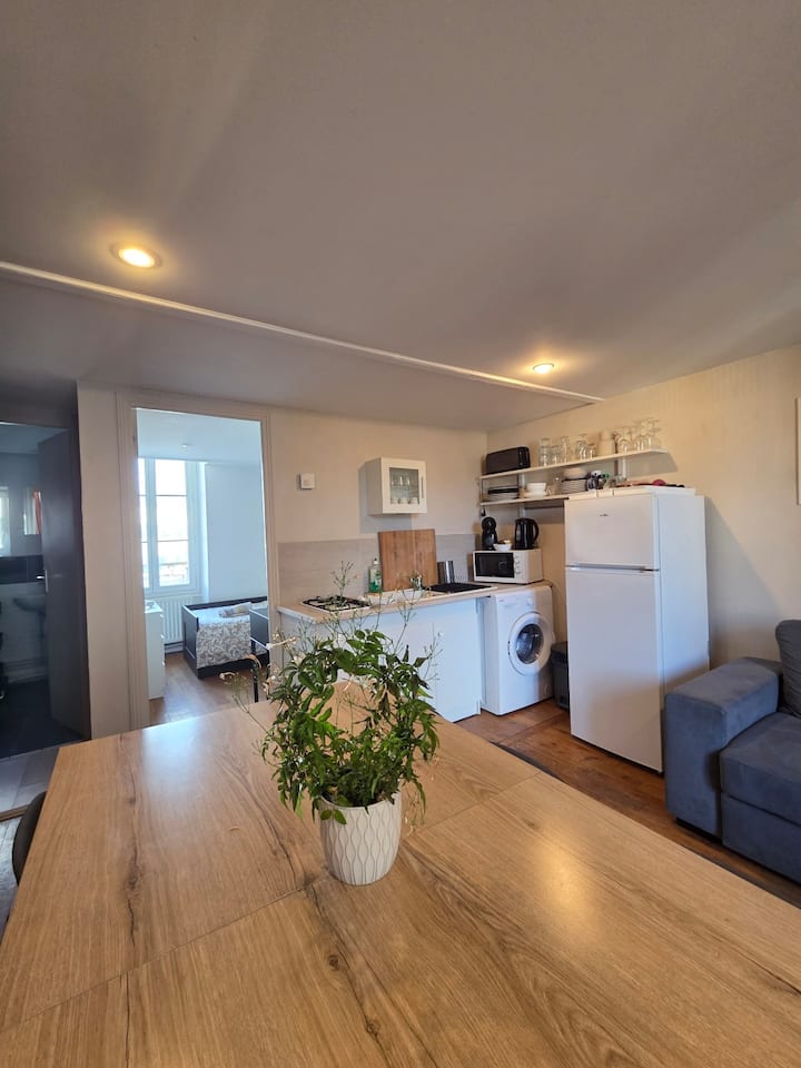 Logement En Duplex Dijon Godrans République - Dijon