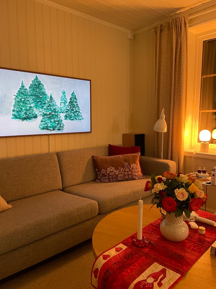 Koselig Rom I Sentral Leilighet, Frokost Inkludert - Trondheim