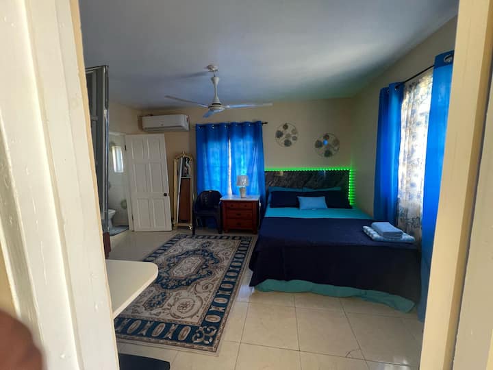 Omar's Villa Stylish 1bd Apt 15 Mins To Airport - Montego Bay