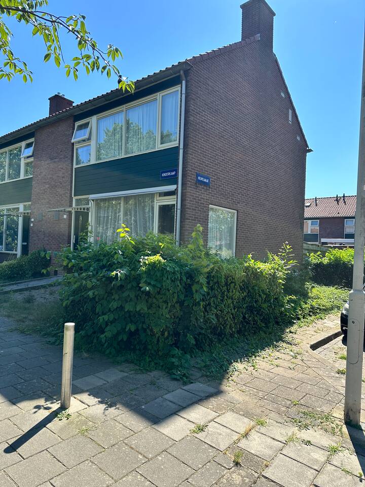 Chill Paleis - Arnhem