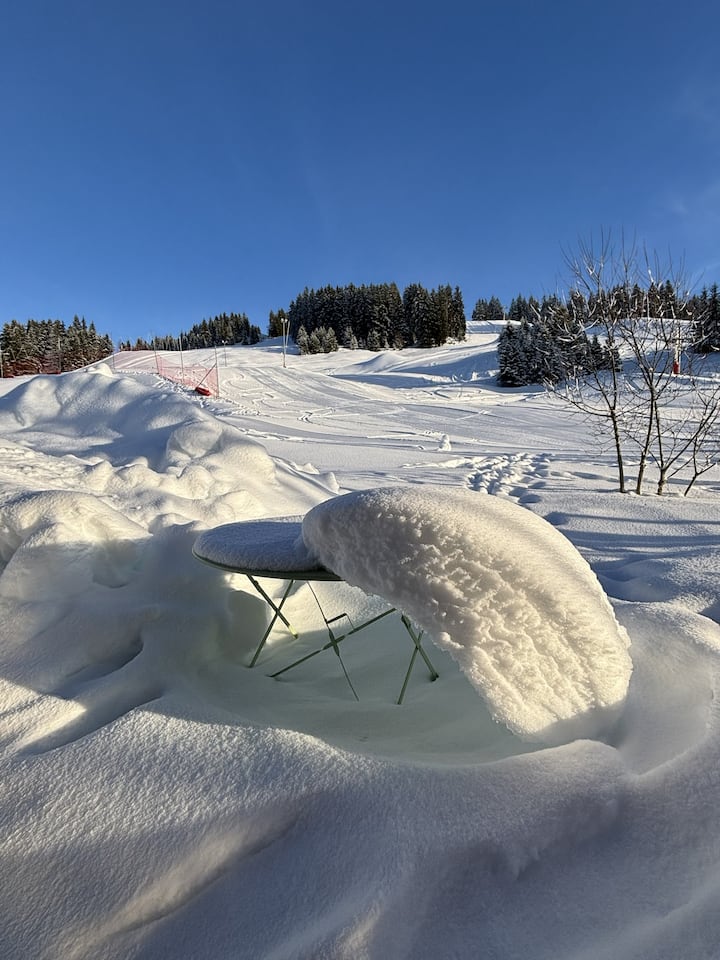 Appart 6 Pers Rez-de-jardin - Manigod - La Clusaz - Manigod