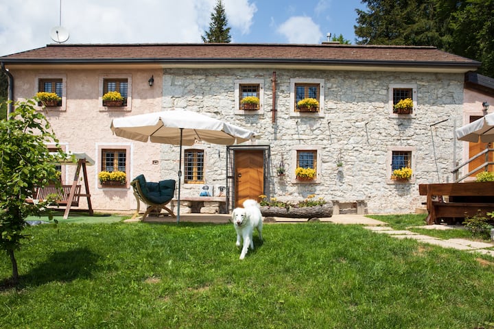 Un Sogno Nel Bosco - Asiago