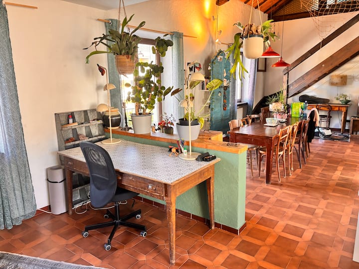 My Colored Duplex - Losone