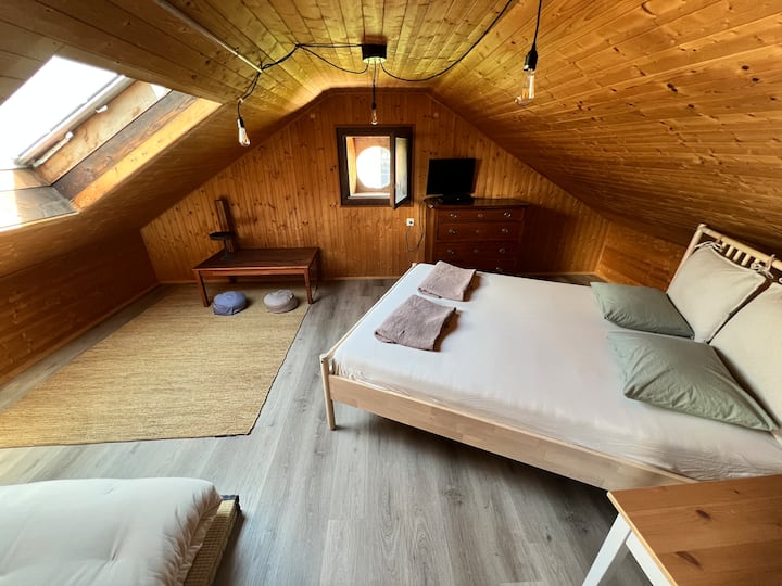 Rooms In A Shared Big Coloured House - Locarno