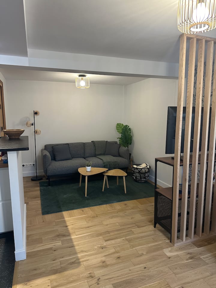 Maison De Ville 65 M2 Proche Paris - Alfortville