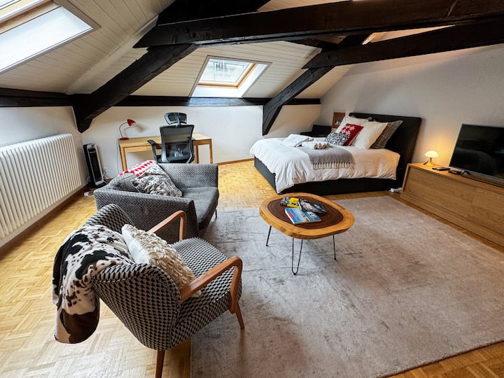 Studio Centre Jet D’eau Et Vieille-ville 2–4 Pers - Ginebra