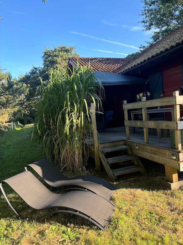 Chalet Proche Du Lac - Sanguinet
