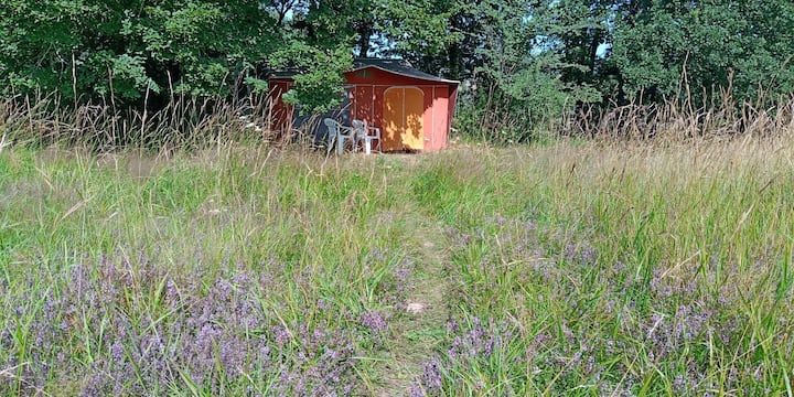 Caravane Vintage En Camping - Biron