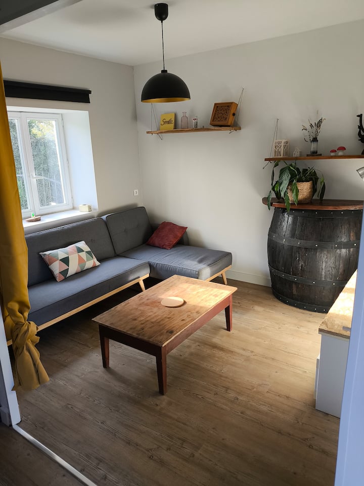 Maison De Campagne En Pierre à 15 Min De Pau - Pau