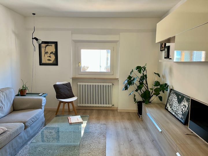 Appartamento In Centro Storico A Modena - Modena