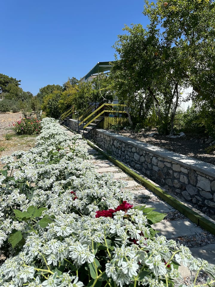 Doğaya Bakan(07 Airlines) Isimli Evim Ile Aynı Ev! - Urla