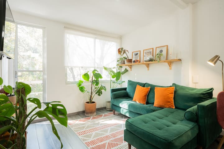 Loft En La San Rafael - Mexico