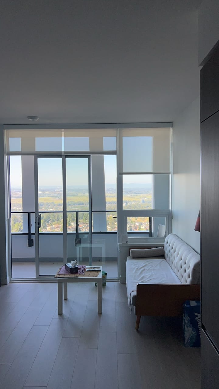 Clean New Cozy 2b1b @ Metrotown - Burnaby