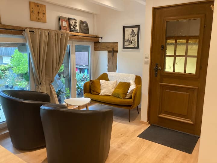 Studio Cosy 2 Pers. Dans Belle Demeure En Alsace - Ribeauvillé