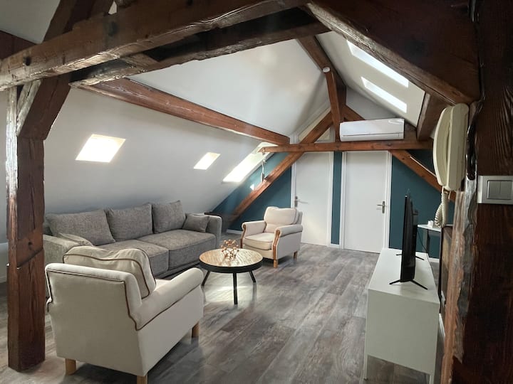 Appartement Cosy Petite Venise - Parking Privé - Colmar