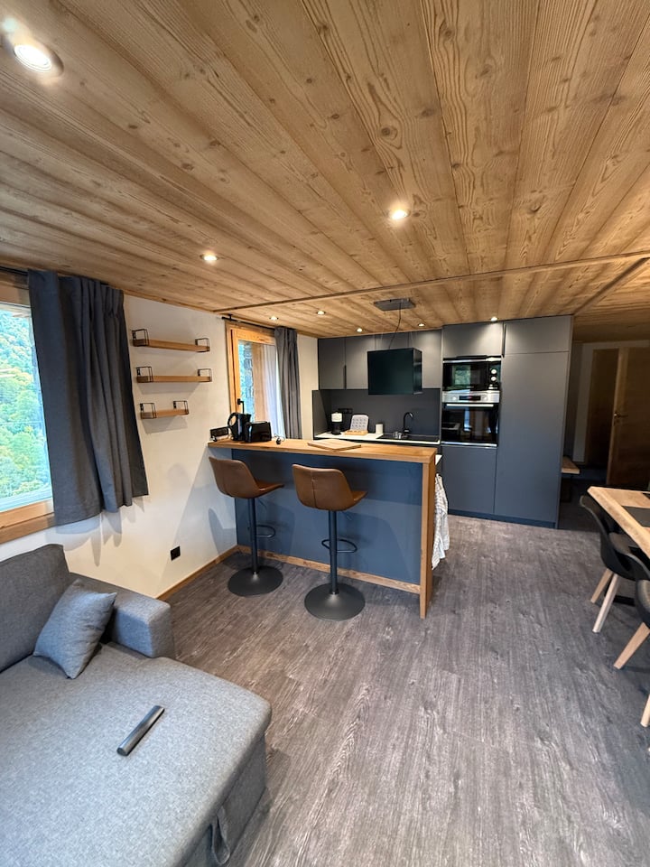 Appartement 100m2 - Savoie