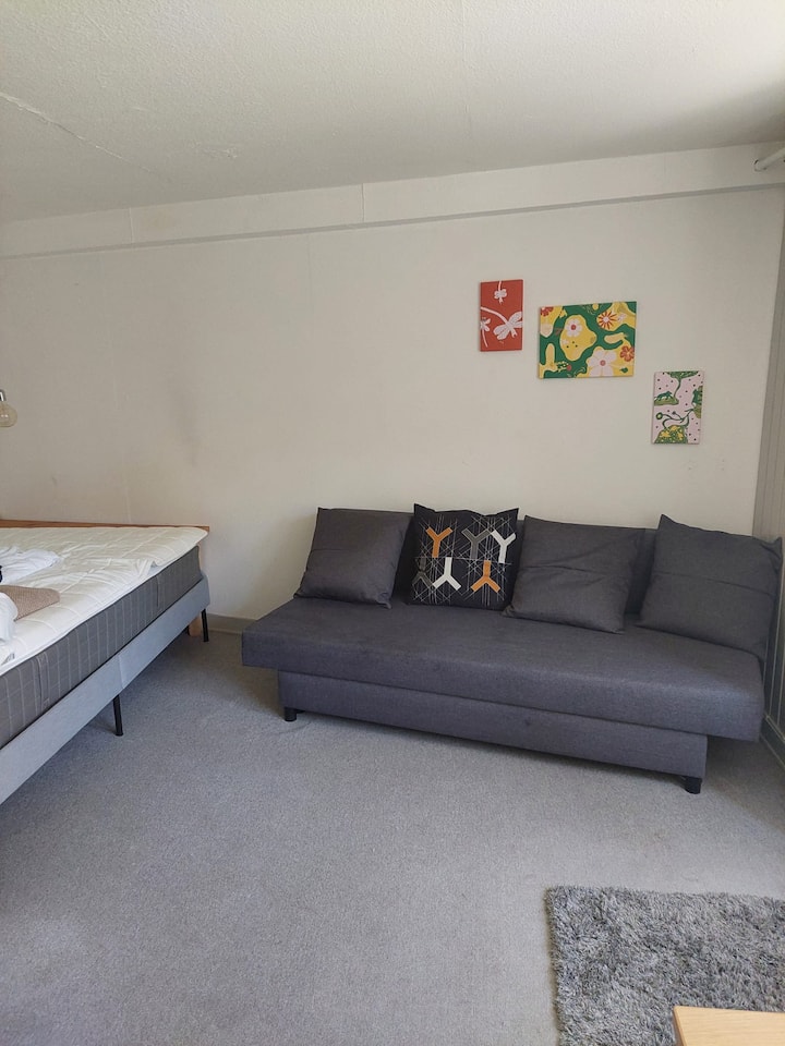 Studio, Private Kitchen And Bathroom. Garden. - Aarhus