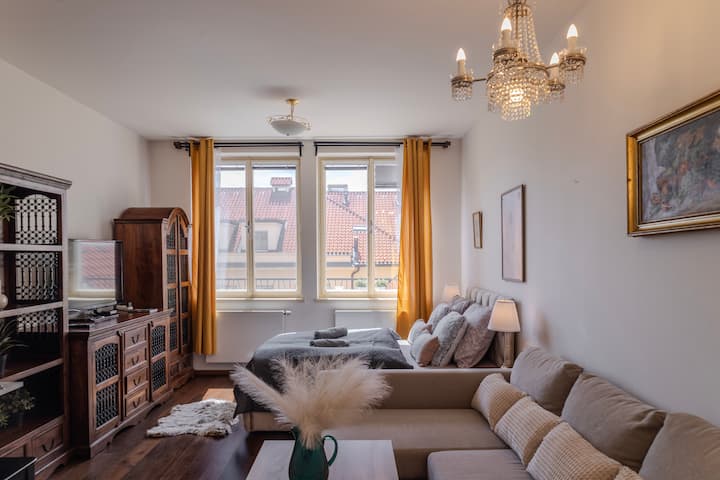 Old Heritage Apartment - Prague