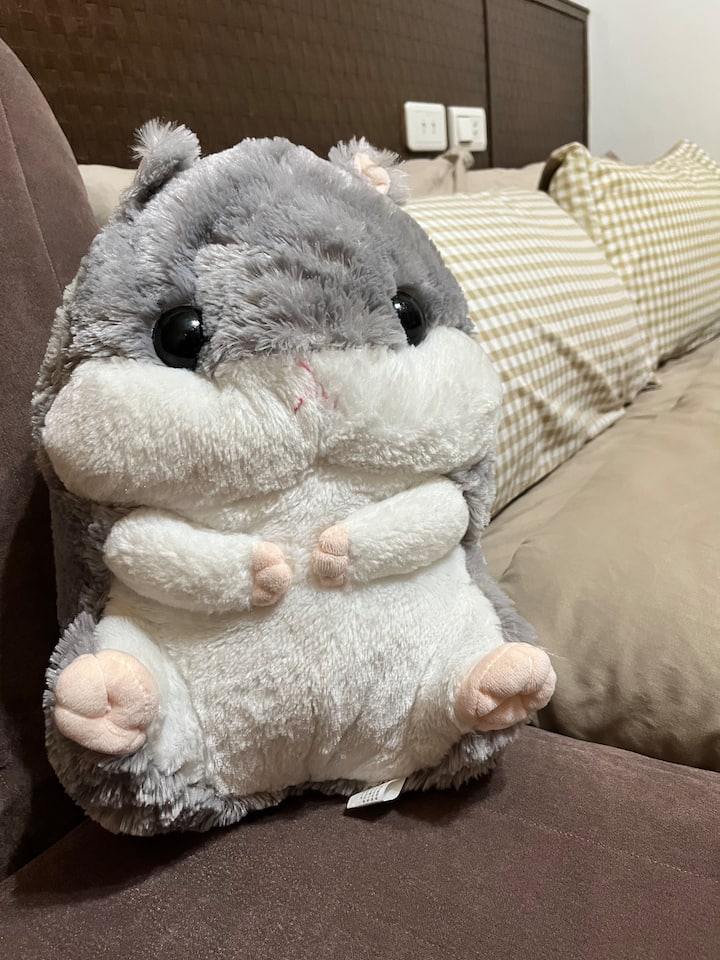 「糰子慢居｜逢甲奶茶色香氛小空間」 - North District