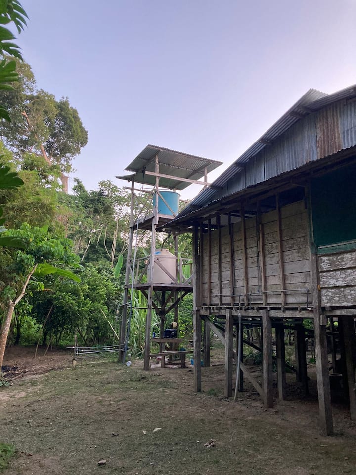 Iquitos Explorer - Iquitos