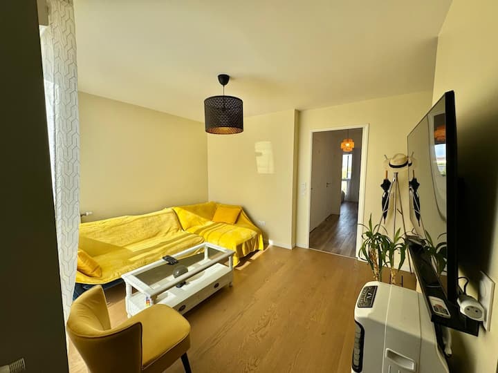 Appartement Neuf, Près De Paris. - Bagneux