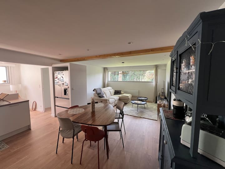 Grand Appartement Centre-ville - Anglet