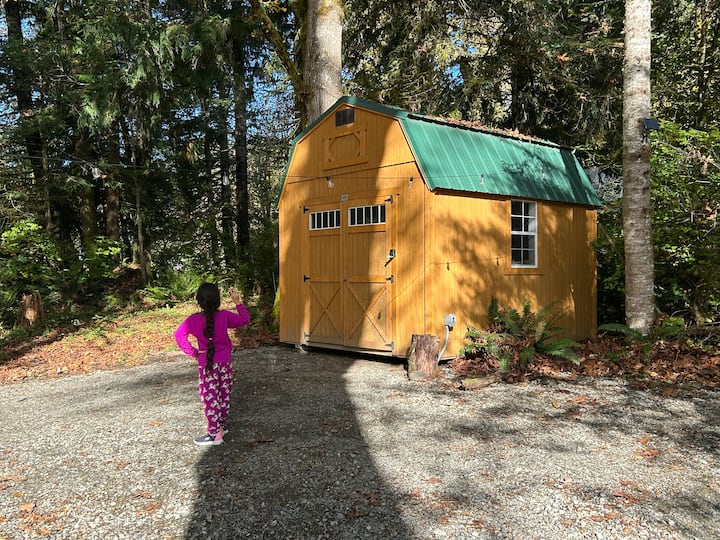 Warm Winter Cabin- Get Your Camping Game On - Ashford, WA