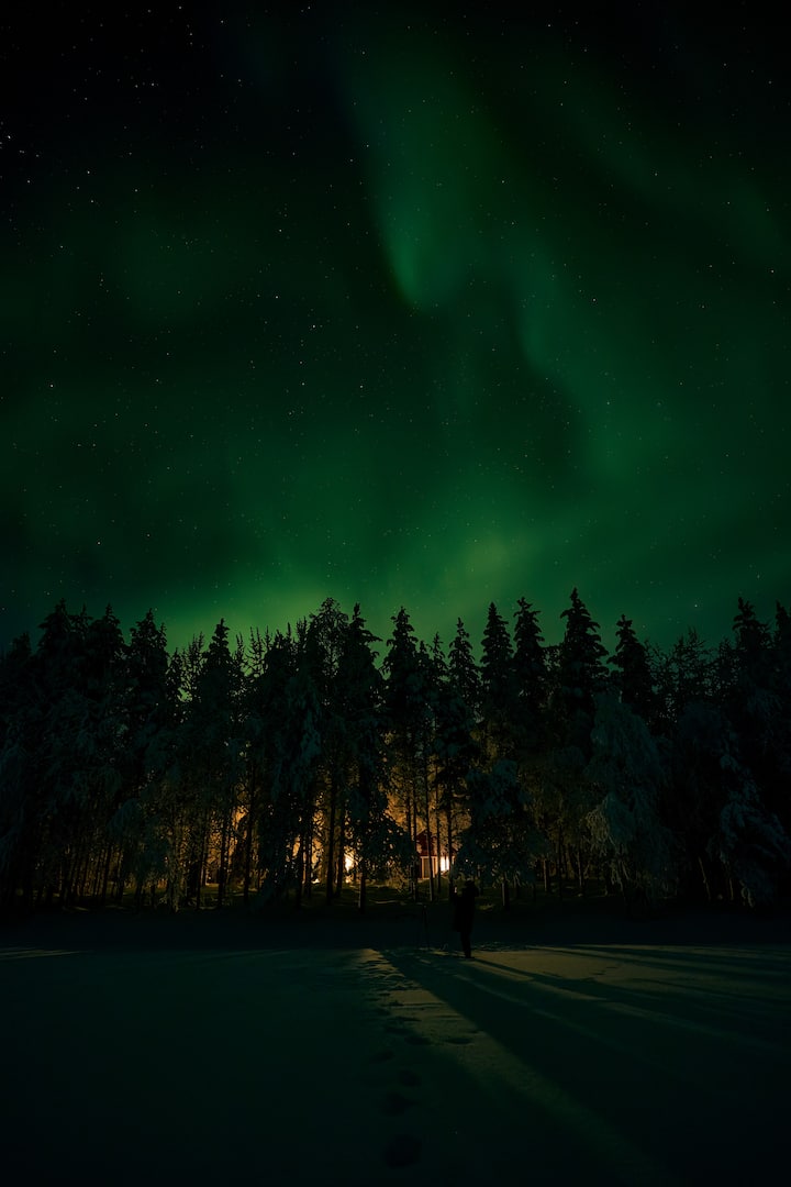 Naruskajoen Luonnonrauhaa - Lapland