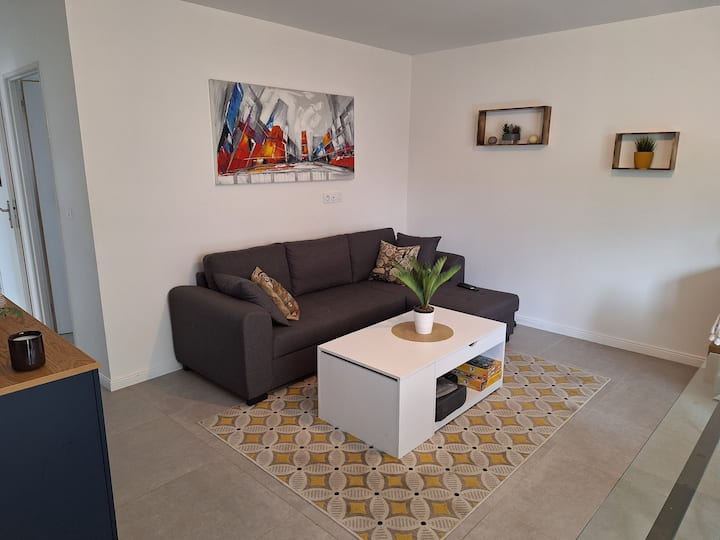 Appartement De Charme Avec Jardin Privé (Centre) - Royat