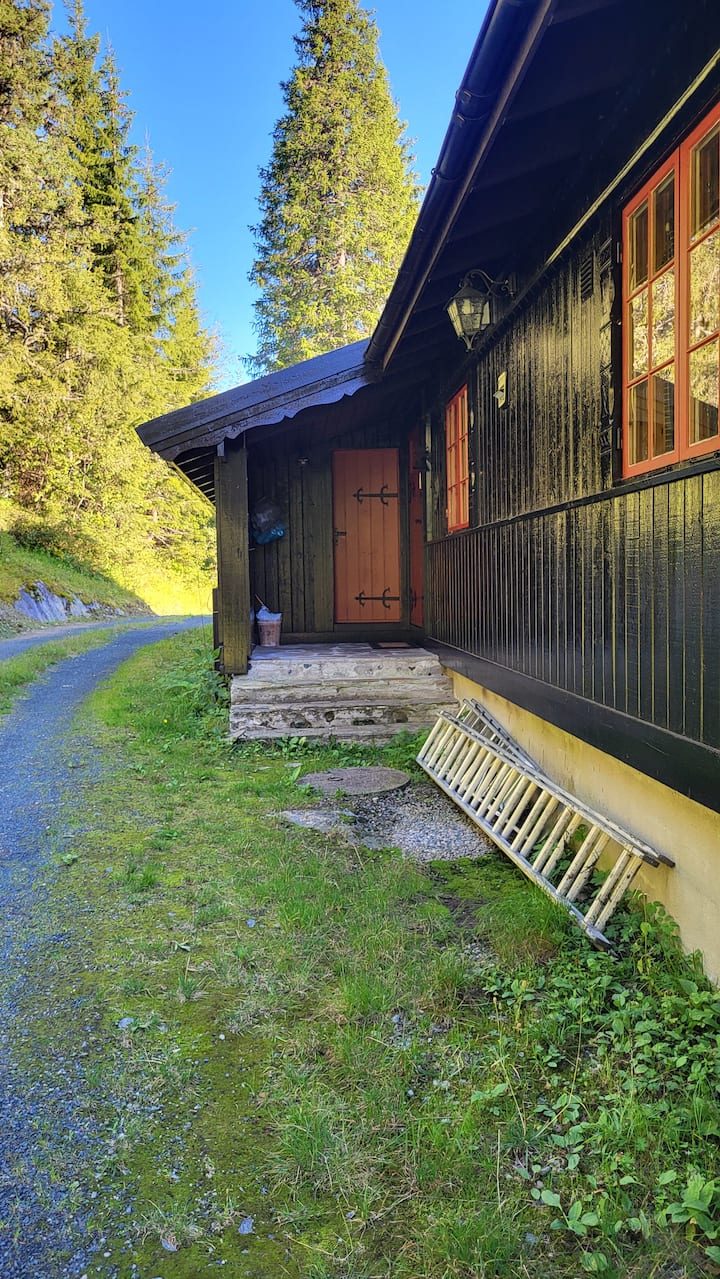 Stor Fjellhytte Med Utsikt - Norway